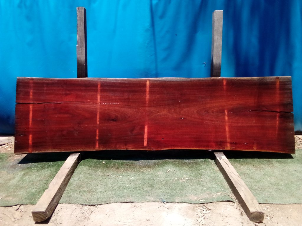 Timber Slabs | Buy Online Now | hardwoodposts.com