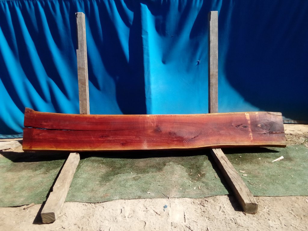Timber Slabs | Buy Online Now | hardwoodposts.com