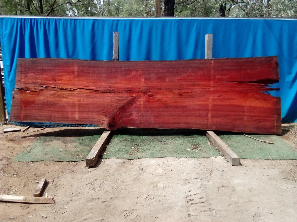 Timber Slabs | Buy Online Now | hardwoodposts.com
