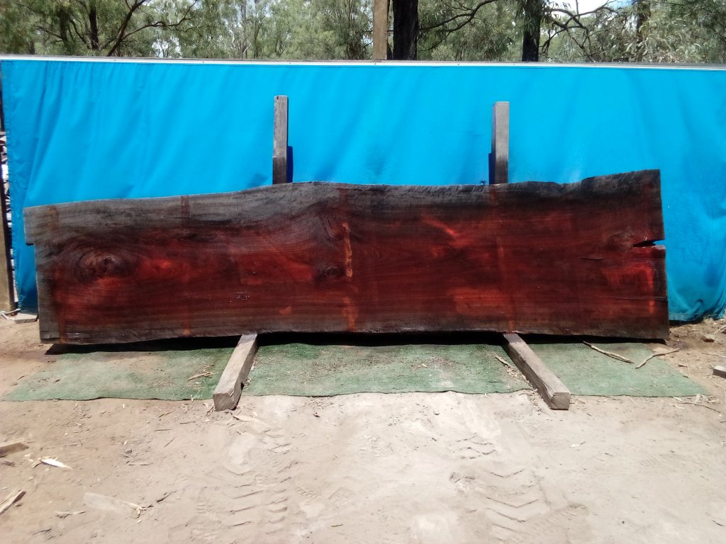 Timber Slabs | Buy Online Now | hardwoodposts.com