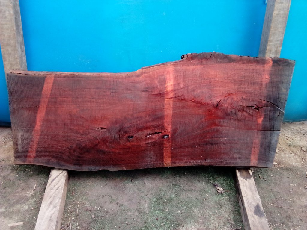 Buy Online | Sydney Bue Gum | hardwoodposts.com