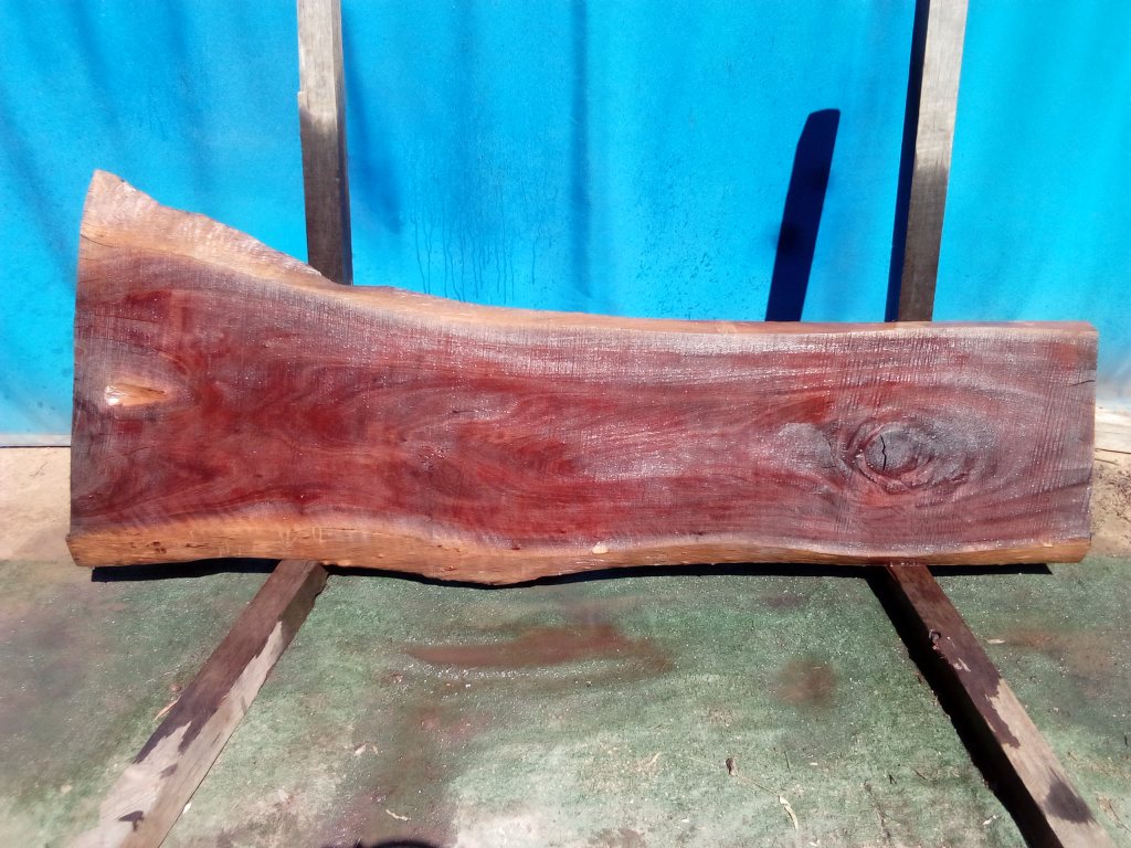 Timber Slabs | Buy Online Now | hardwoodposts.com